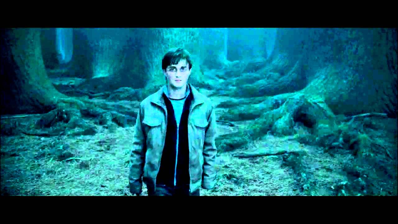 The Second Life of Harry Potter - YouTube