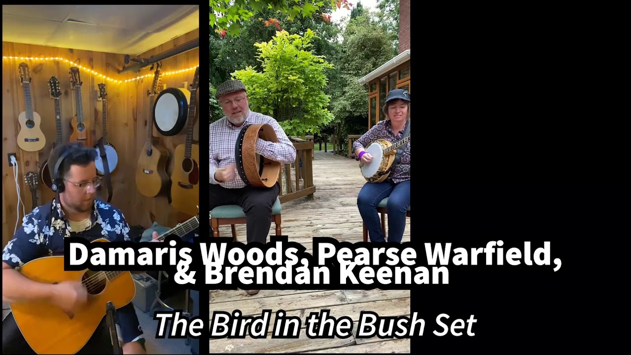 Bird in the Bush set: Damaris Woods, Pearse Warfield, & Brendan Keenan ...