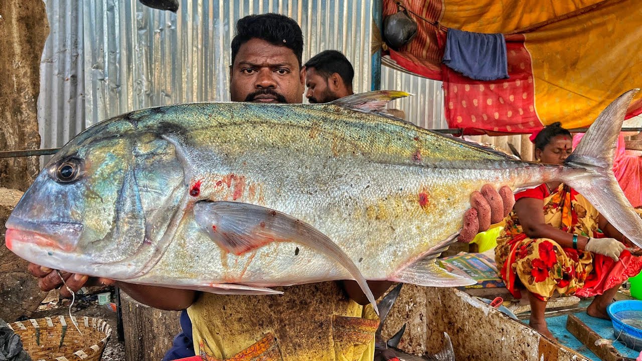 KASIMEDU 🔥 SPWWD SELVAM | HUGE TRAVELLY FISH CUTTING VIDEO | 4K VIDEO ...