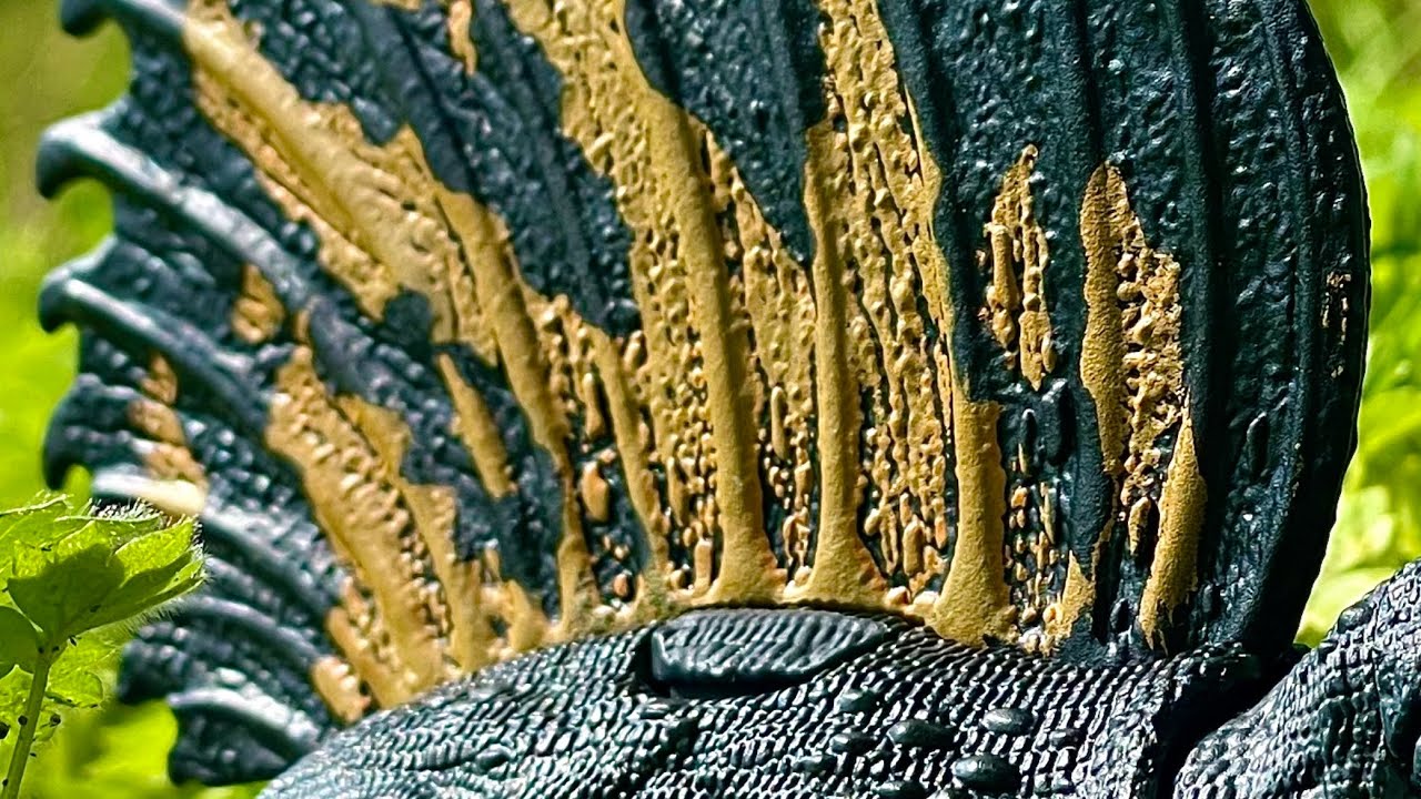 Ground Forager's Paradise - YouTube