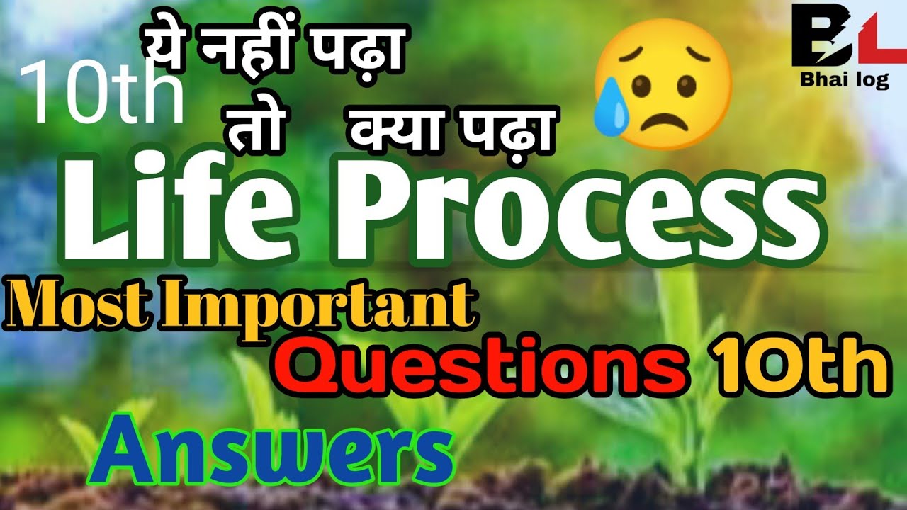 Most Important Questions Ch 6 Life Processes Class 10 Science PYQ most-important-questions-ch-6-life-processes-class-10-science-pyq