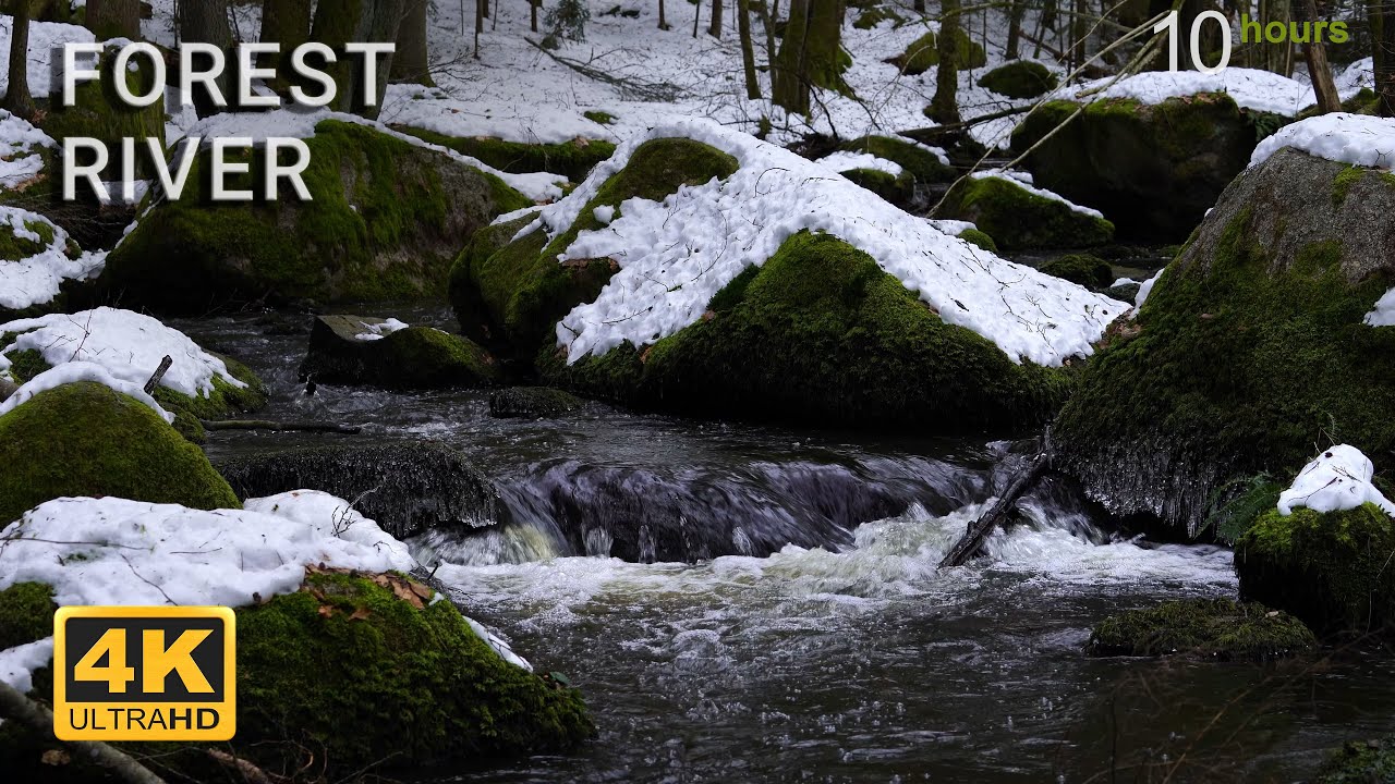 4K Forest River - Snowy Forest Stream - Flowing Water Nature Sounds for ...