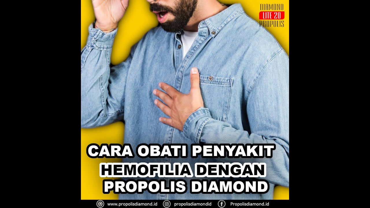 Cara Obati Hemofilia dengan Propolis Diamond Lite 20 - YouTube