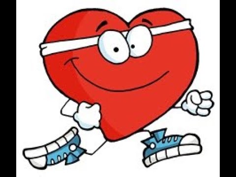 Heart Rate Training 101 - YouTube