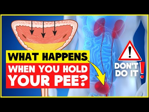 What happens when you hold your pee?Is it bad to hold your urine ? - Urinary System