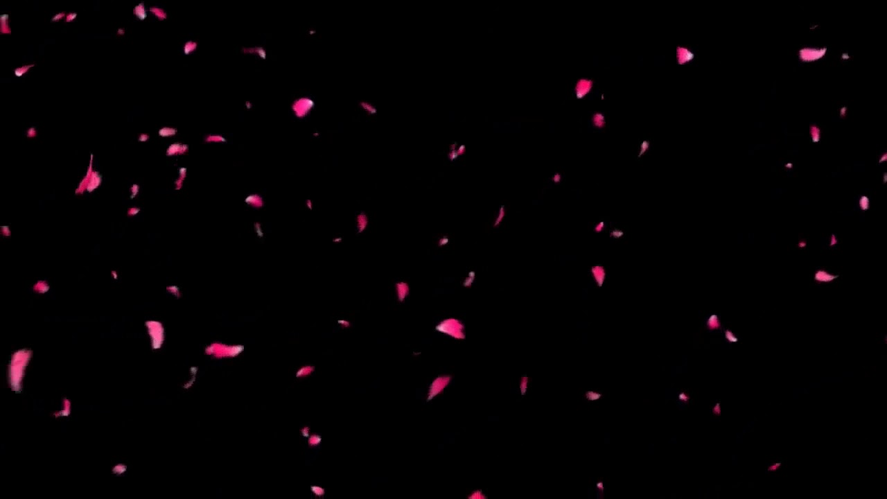 Flower effect - Effect snow - effect background - effect video - YouTube