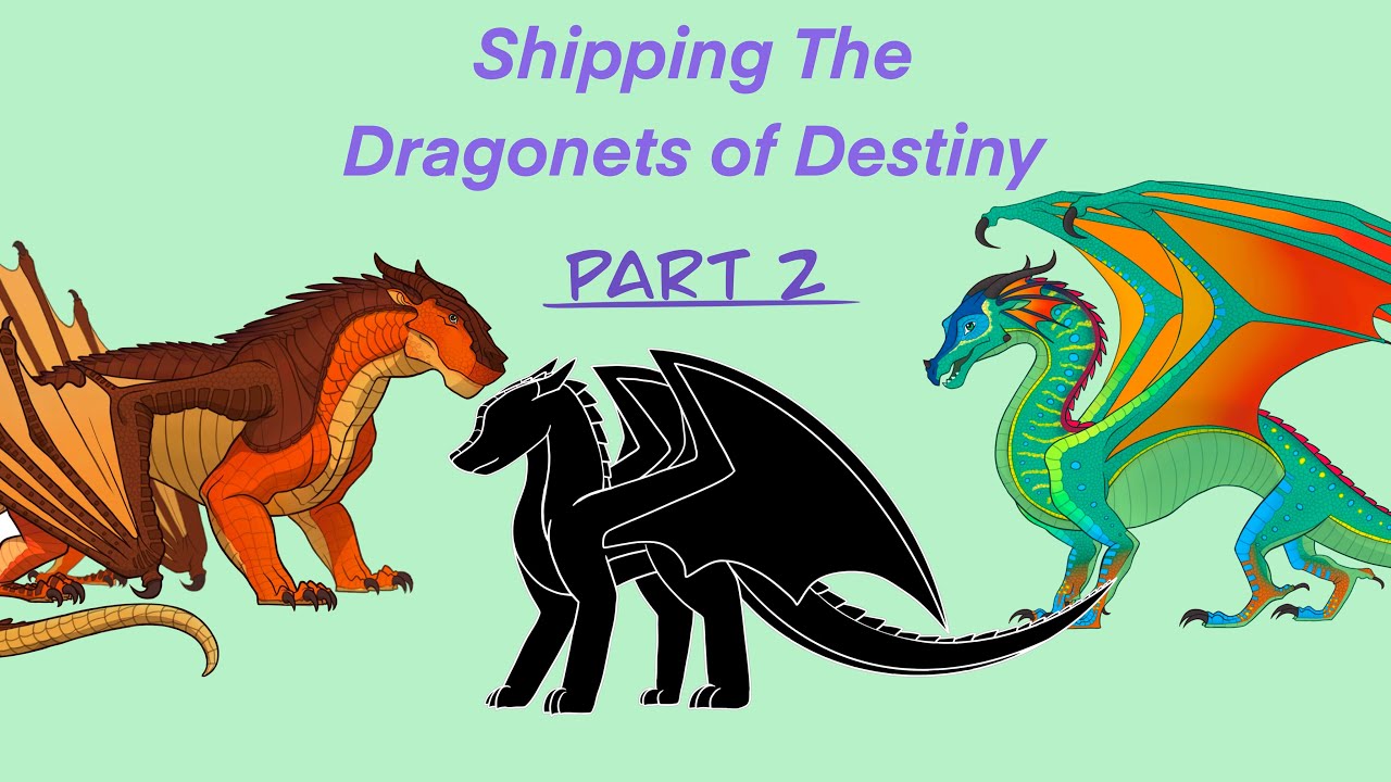 Shipping Every Dragonet of Destiny (Part 2) - YouTube