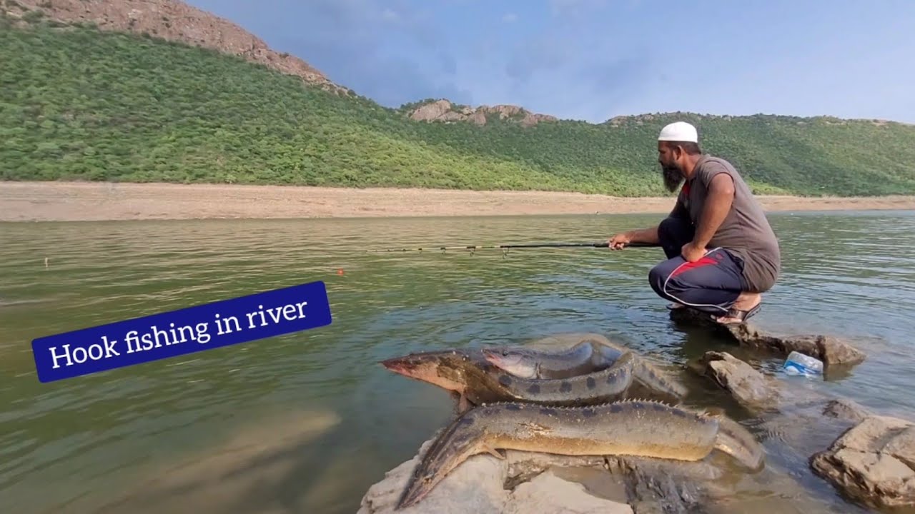 "The Ultimate Guide to Float Fishing for Baamfish and Singhara" Single ...