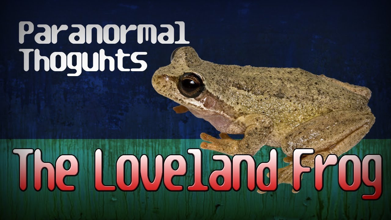 Paranormal Thoughts Ep. 1 Loveland Frog - YouTube