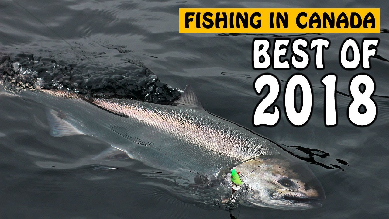 BEST OF 2018 - Our YouTube Rewind | Fishing with Rod - YouTube
