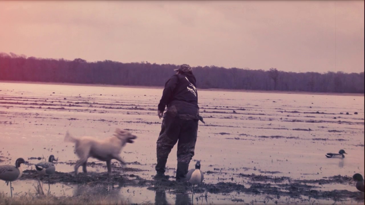 Hero Decoys in Stuttgart Arkansas - YouTube
