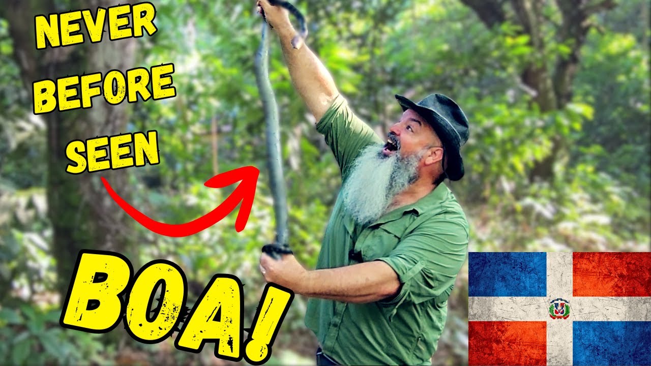 I Found A WILD Never Before Seen Snake In The Dominican Republic - YouTube