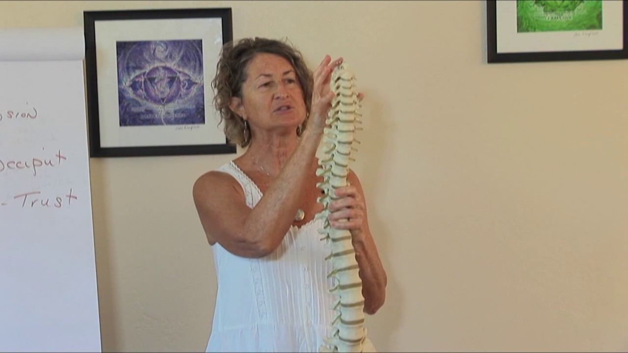 Spinal - Neural Phases in Network Spinal Analysis (part 3/4) - YouTube