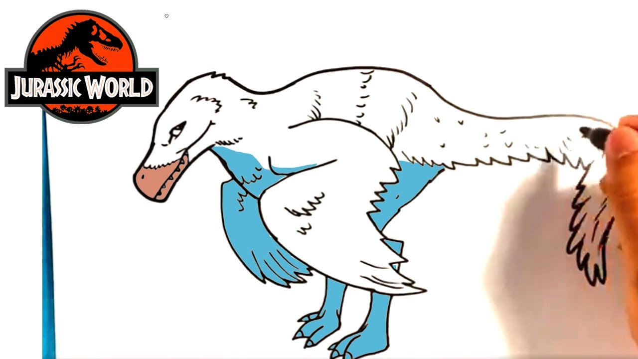 EASY How to Draw JURASSIC WORLD - Atrociraptor - YouTube