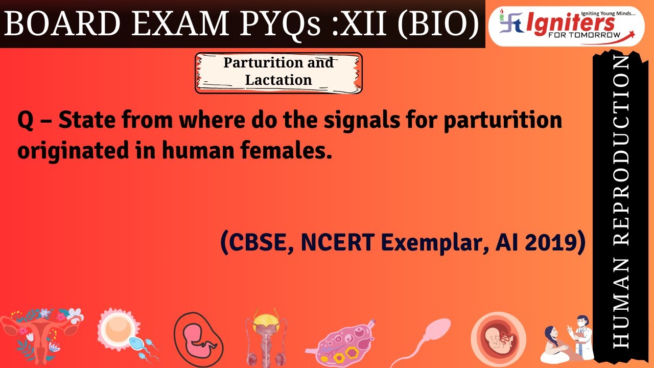 State from where do the signals for parturition originated in human ...