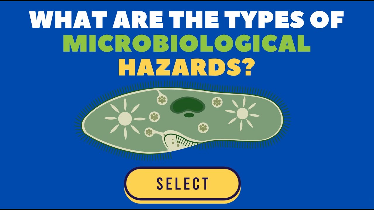 What are the types of microbiological hazards? - YouTube