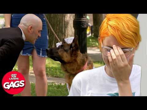 Liberal Gets Married To A Dog? 🐶 | Just For Laughs Gags