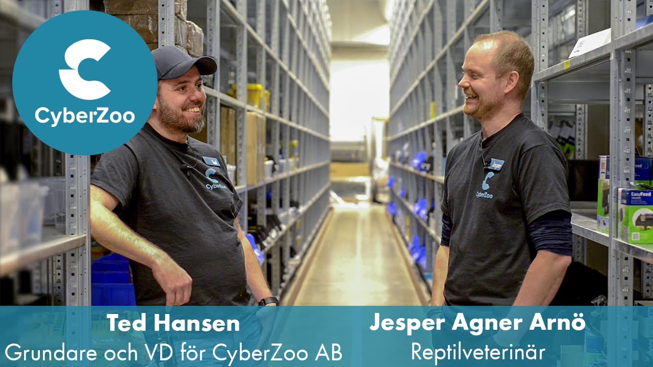 Intervju med Ted Hansen - Grundare och VD för CyberZoo - YouTube