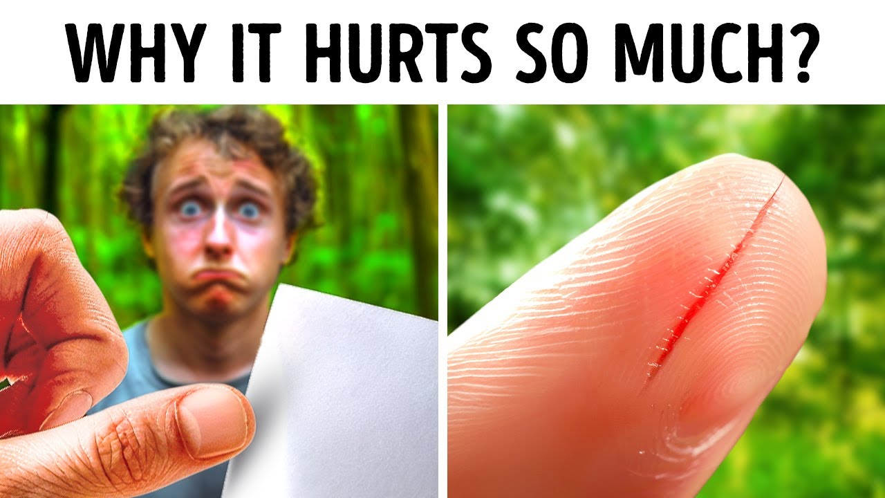 Why Paper Cuts Are So Painful (And Other Surprising Facts) - YouTube