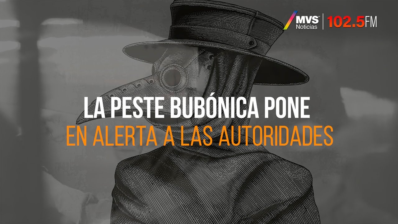 La peste bubónica pone en alerta a las autoridades - YouTube