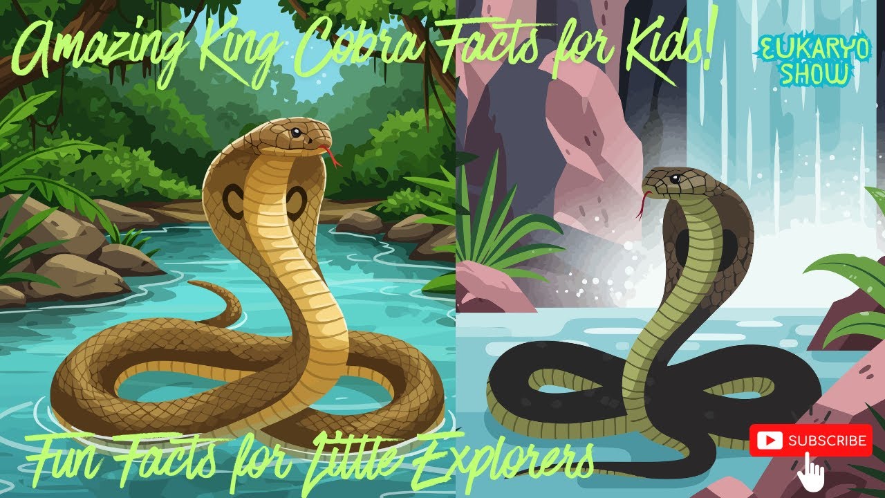 Meet the Mighty King Cobra! Fun Facts for Little Explorers🐍🙄😯 # ...