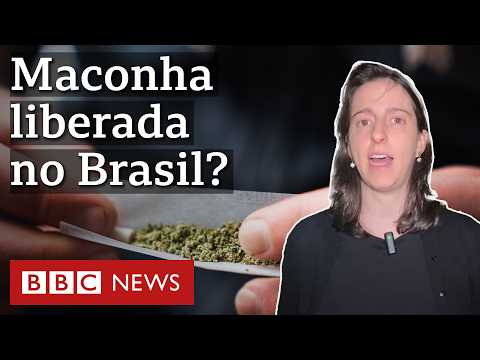 Maconha liberada? O que muda após STF descriminalizar porte