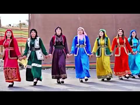 Halay Oynayan Kadınların Renkli ve Coşkulu Anları #halay #kurdish #kurtce #düğün  #gelin  #halaybasi