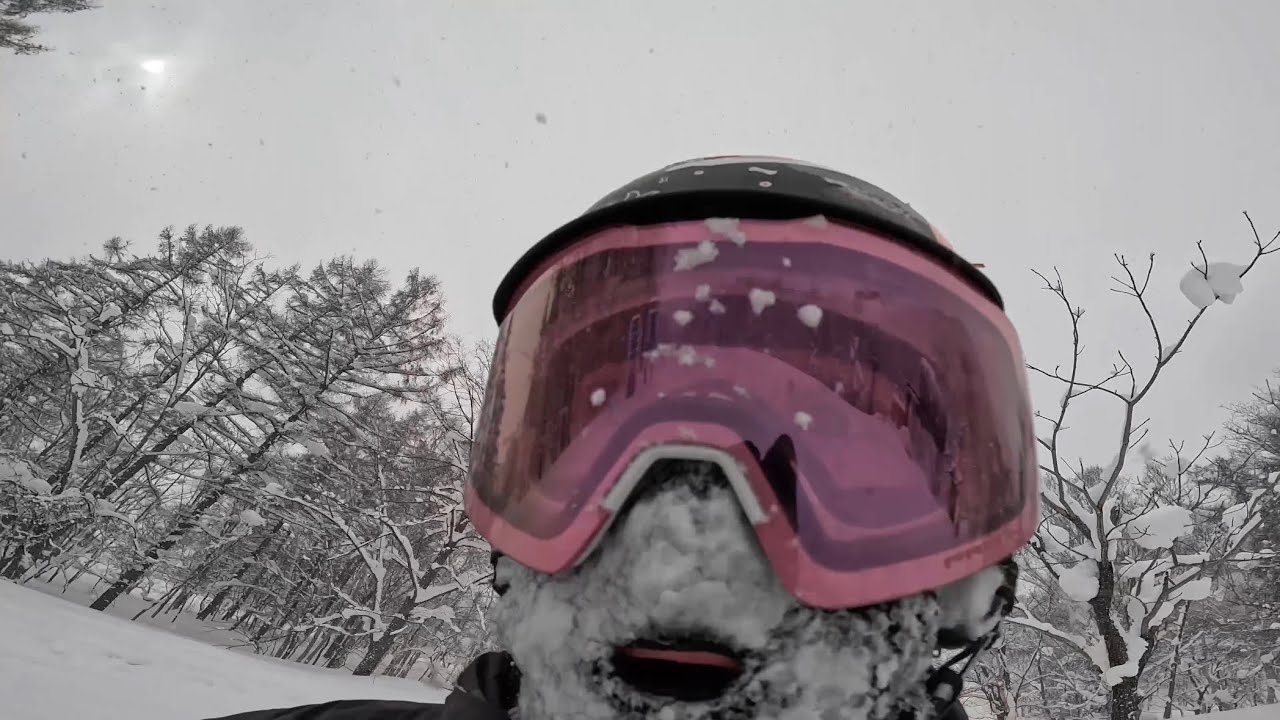 Hirafu and Mizuno no Sawa, Gate 11 at Niseko Japan (Feb 3, 2023) - YouTube