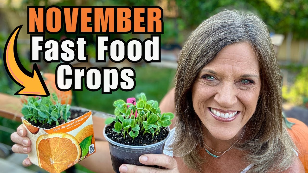 November Must-Plant Fast Food Crops for Lazy Gardeners - YouTube