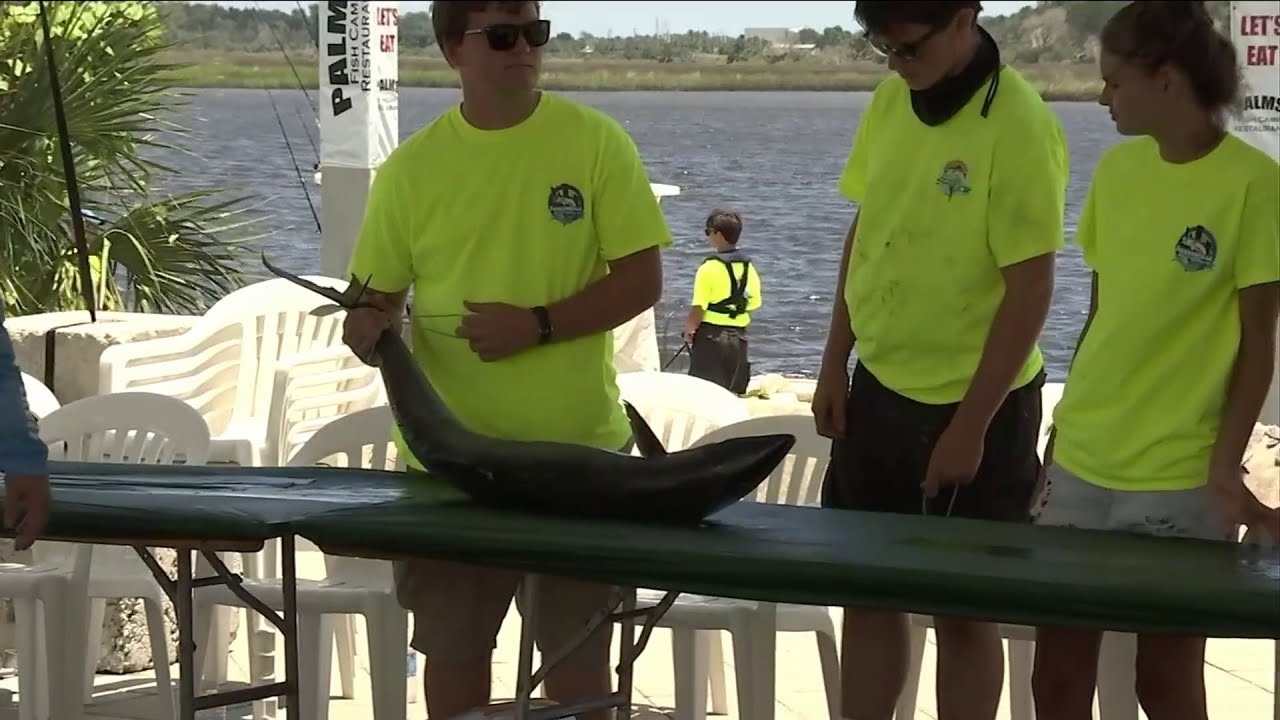 The Greater Jacksonville Kingfish Tournament opens the scales for the ...