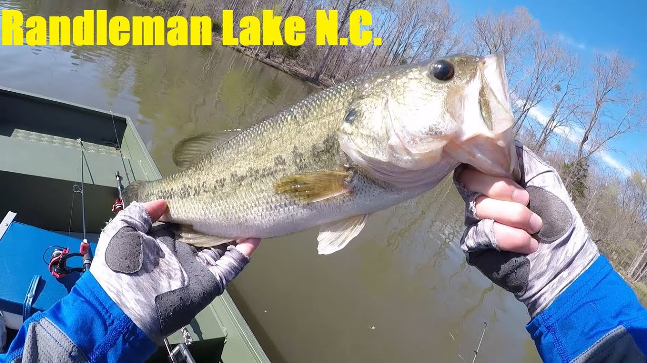 Bass Fishing at Randleman Lake NC. BIG BASS!!! - YouTube