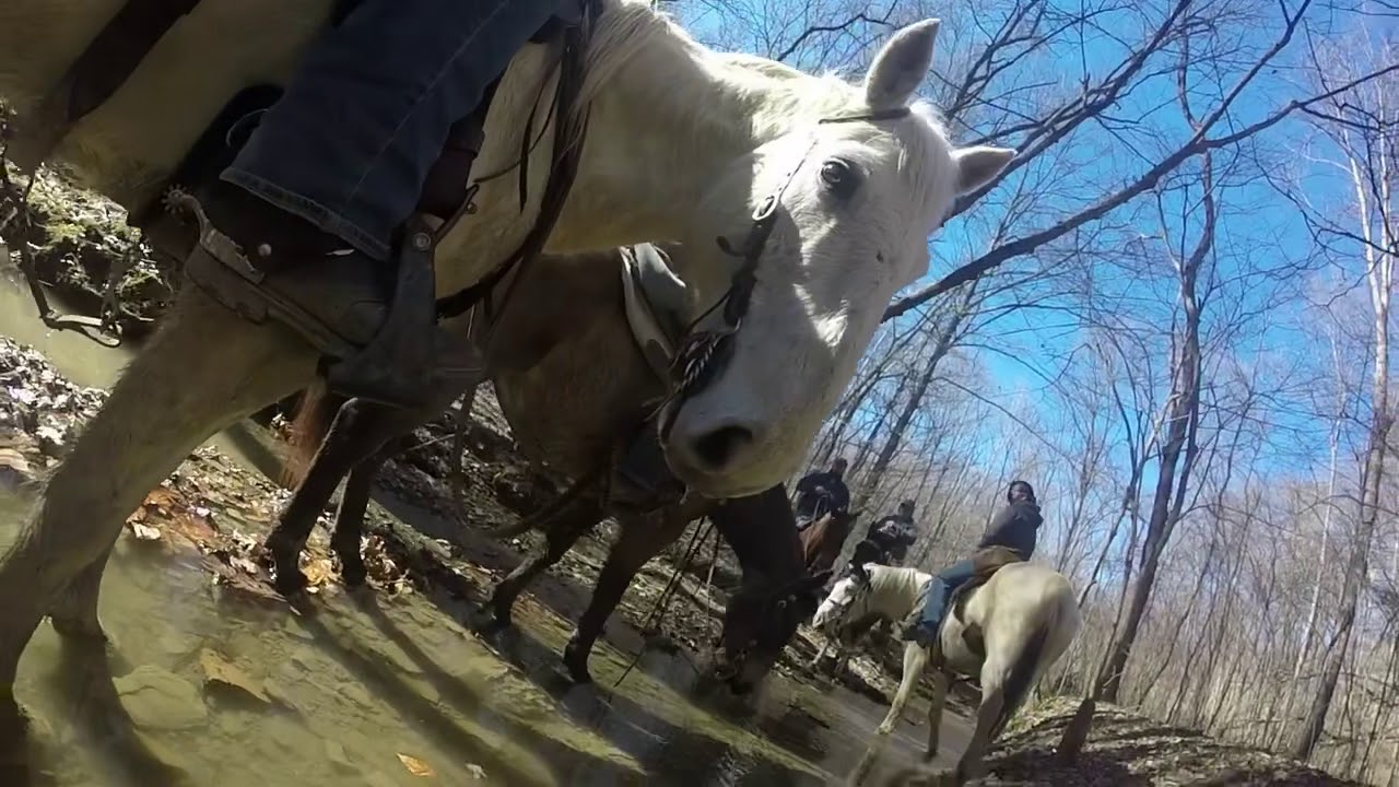 The Booze Crooze Brown County State Park - YouTube