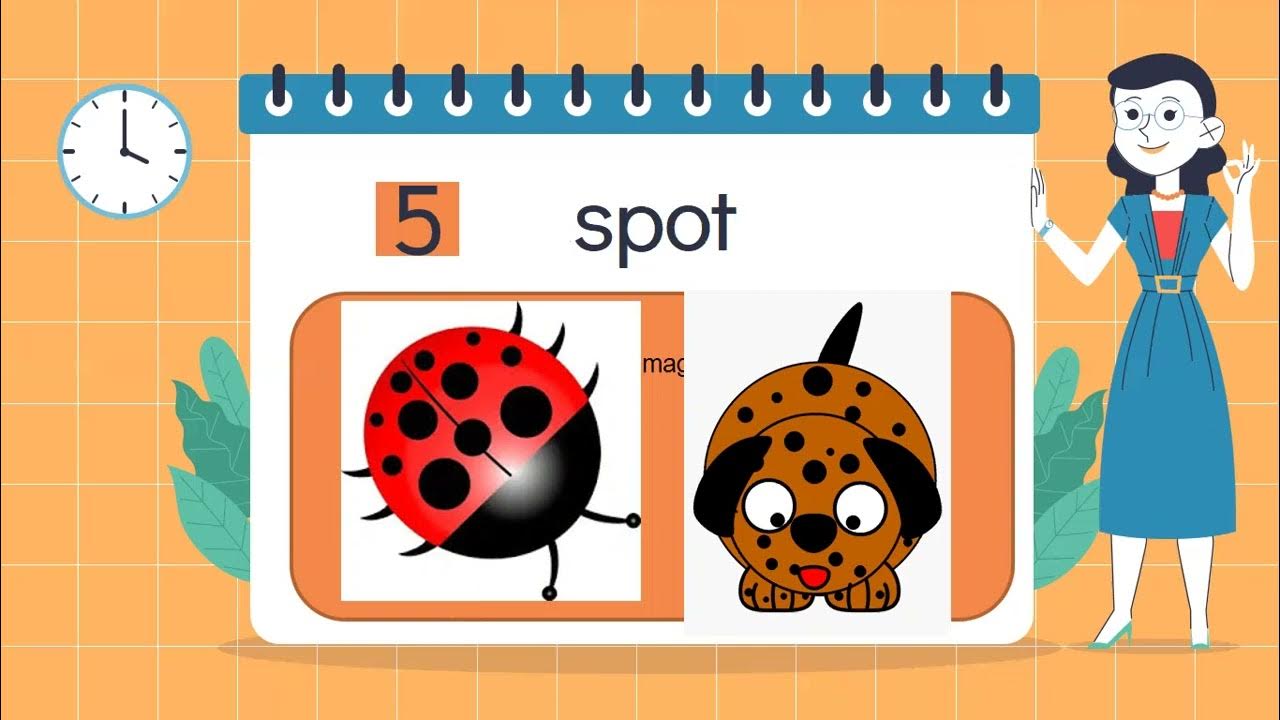 Spelling Words: Lesson 2 _ "My Family" _ Journeys 2nd grade - YouTube