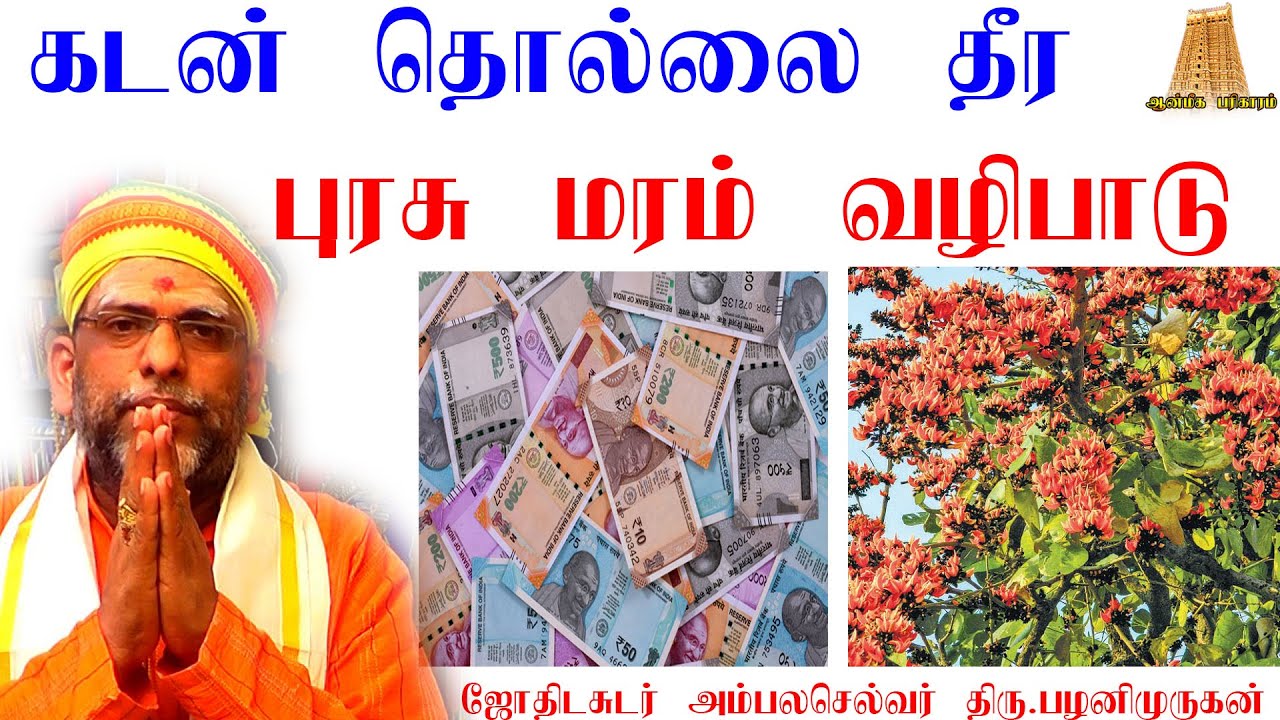 கடன் தொல்லை நீங்க இதை செய்யுங்க | tamil Kadan theera pariharam | புரசு ...