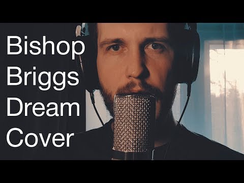 Dream -Bishop Briggs. Кавер Алексея Полякова