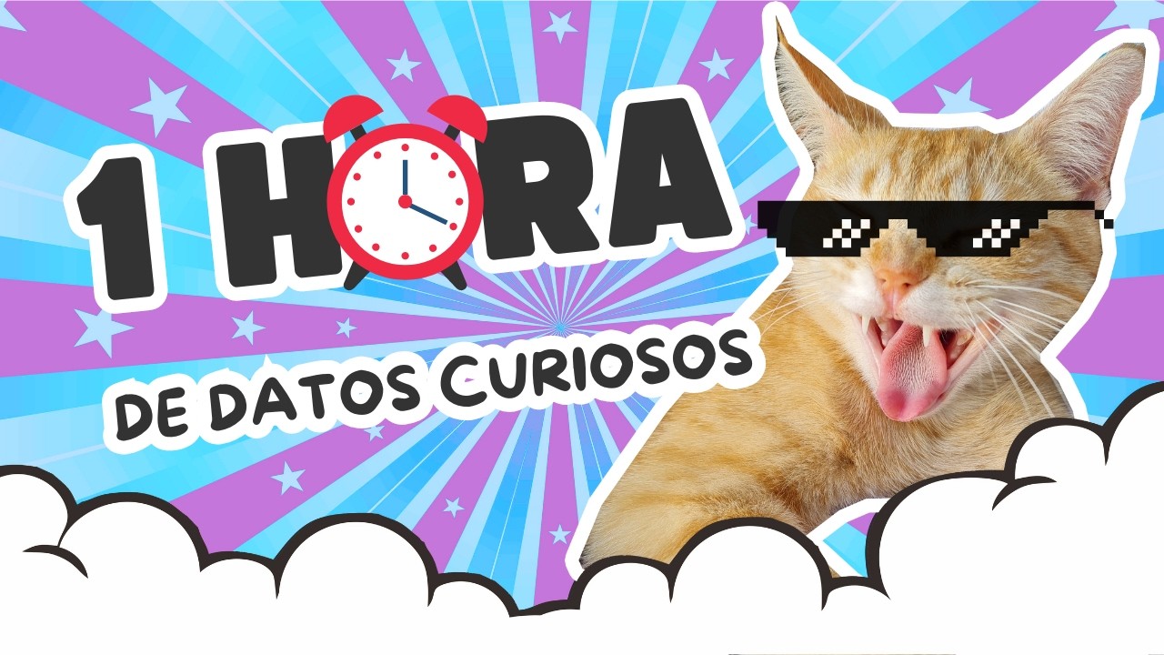 1 HORA de DATOS CURIOSOS y COSAS QUE NO SABÍAS ⏰🧠 #03 [Pancho Curioso ...