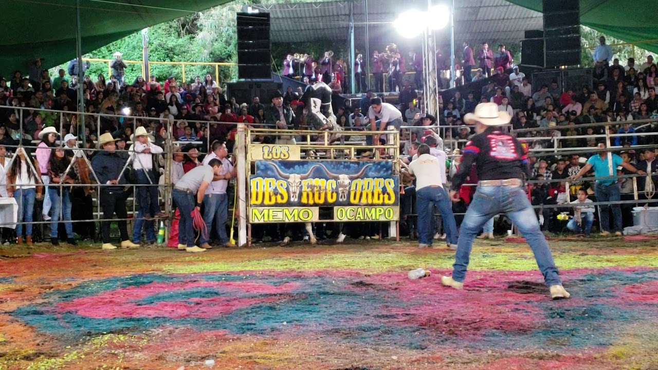 OREJA RAJADA CON POLLO DEL SALITRE EN SAN RAFAEL - YouTube