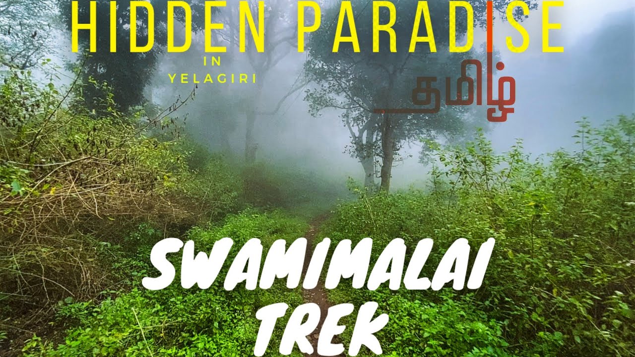Yelagiri hidden spot | Swamimalai trek 🥶 | complete guide | Travel vlog ...