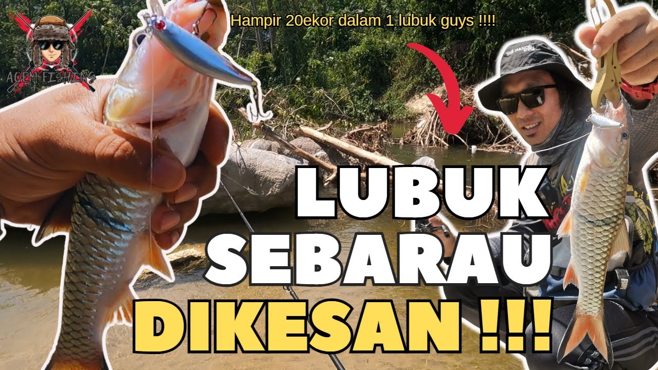 Sebarau/Hampala Ipoh Perak | Lesen terbaru seumur hidup | Vlog28 - YouTube