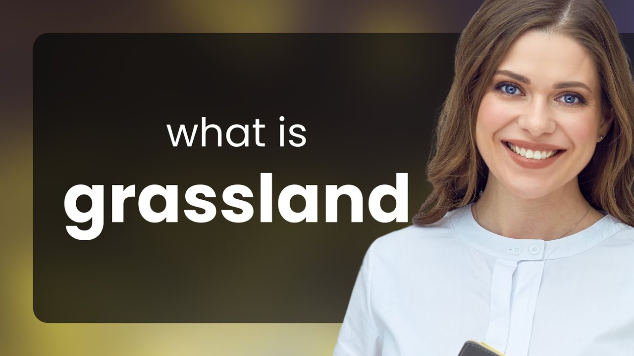 Grassland Definition Of GRASSLAND YouTube grassland-definition-of-grassland-youtube