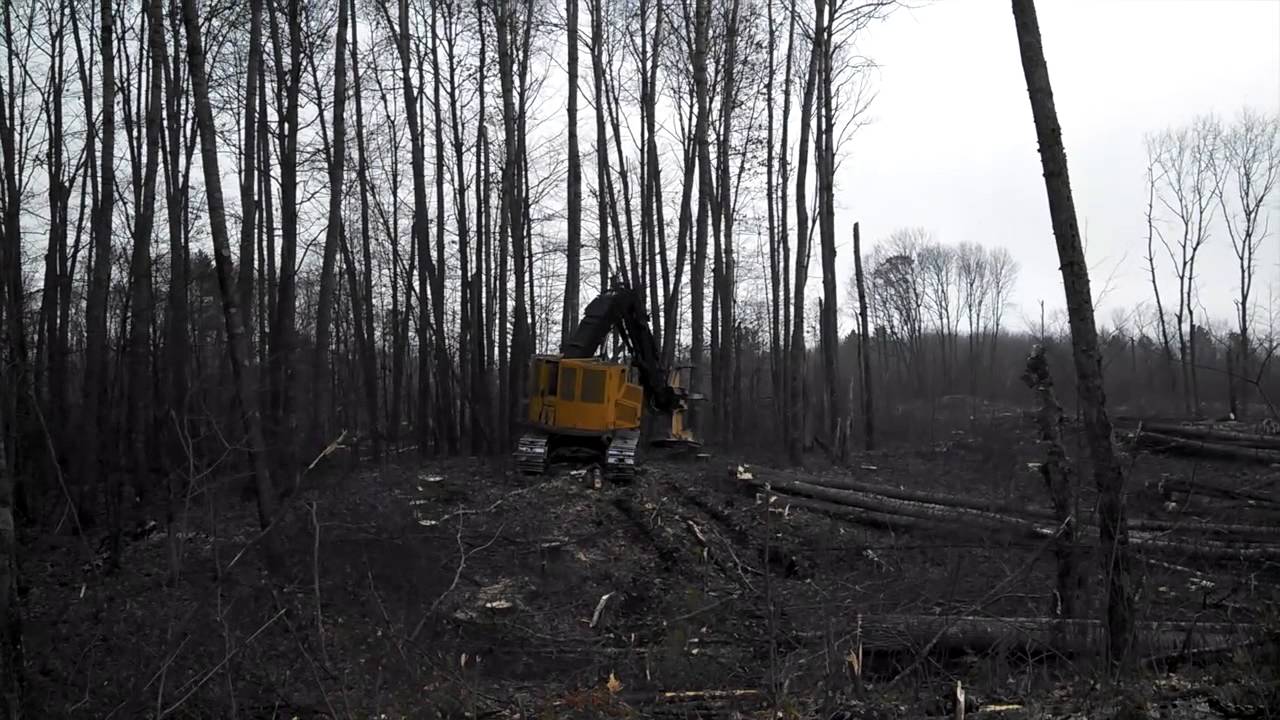 2004 Tigercat 822C Feller Buncher - YouTube