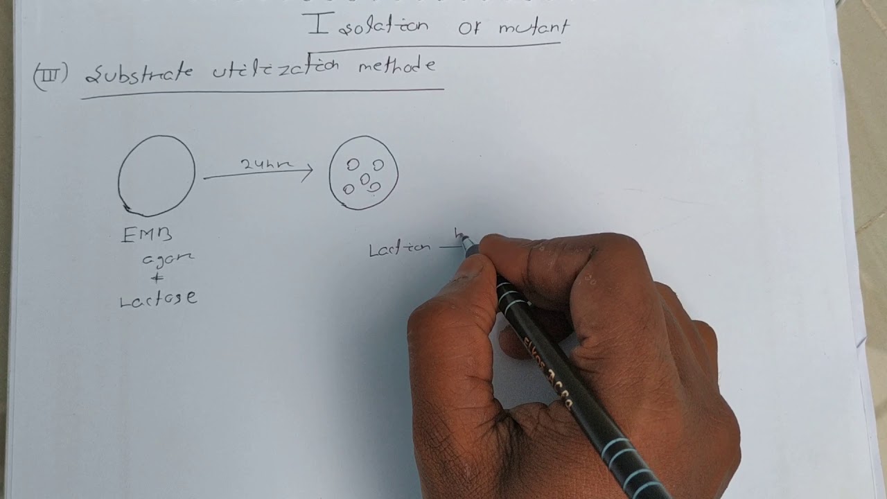 Isolation of mutant part 3 Substrate utilization method - YouTube
