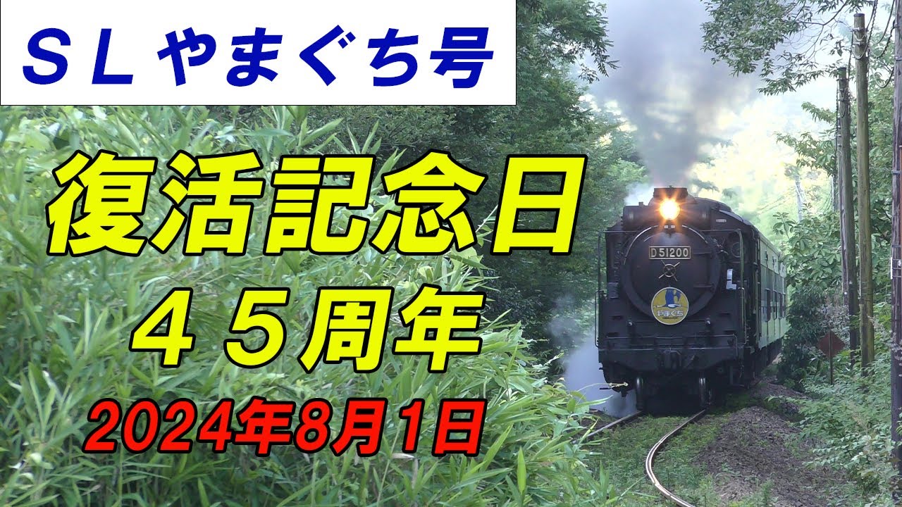 【復活記念日】SLやまぐち号45周年 2024.08.01 #sl #train #steamlocomotive #蒸気機関車 #d51 #やまぐち号 #鉄道 #鉄道動画 - YouTube