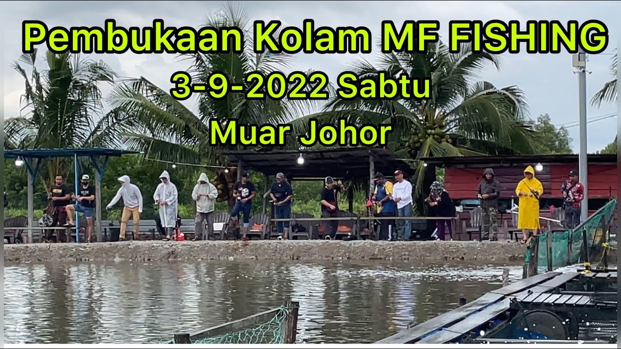 Sabtu 3-9-2022 pembukaan Kolam MF FISHING muar Johor 🎣cuaca hujan👉🏻 ...