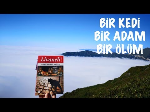 ZÜLFÜ LİVANELİ - BİR KEDİ BİR ADAM BİR ÖLÜM