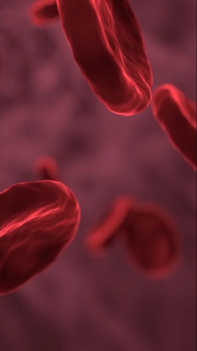 Why Is Blood Red? The Fascinating Science Behind Its Color - YouTube