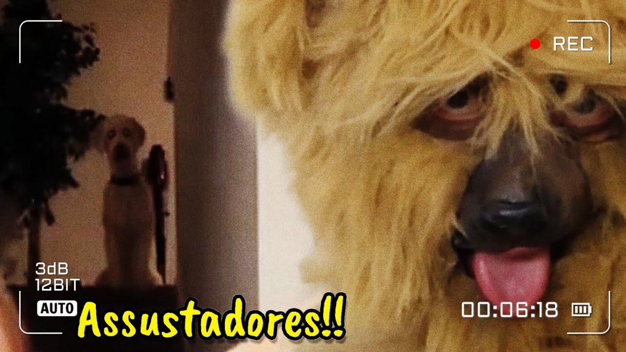 Esses cachorros são assustadores e bizarros (Skinwalkers)!! ☠️😱 - YouTube