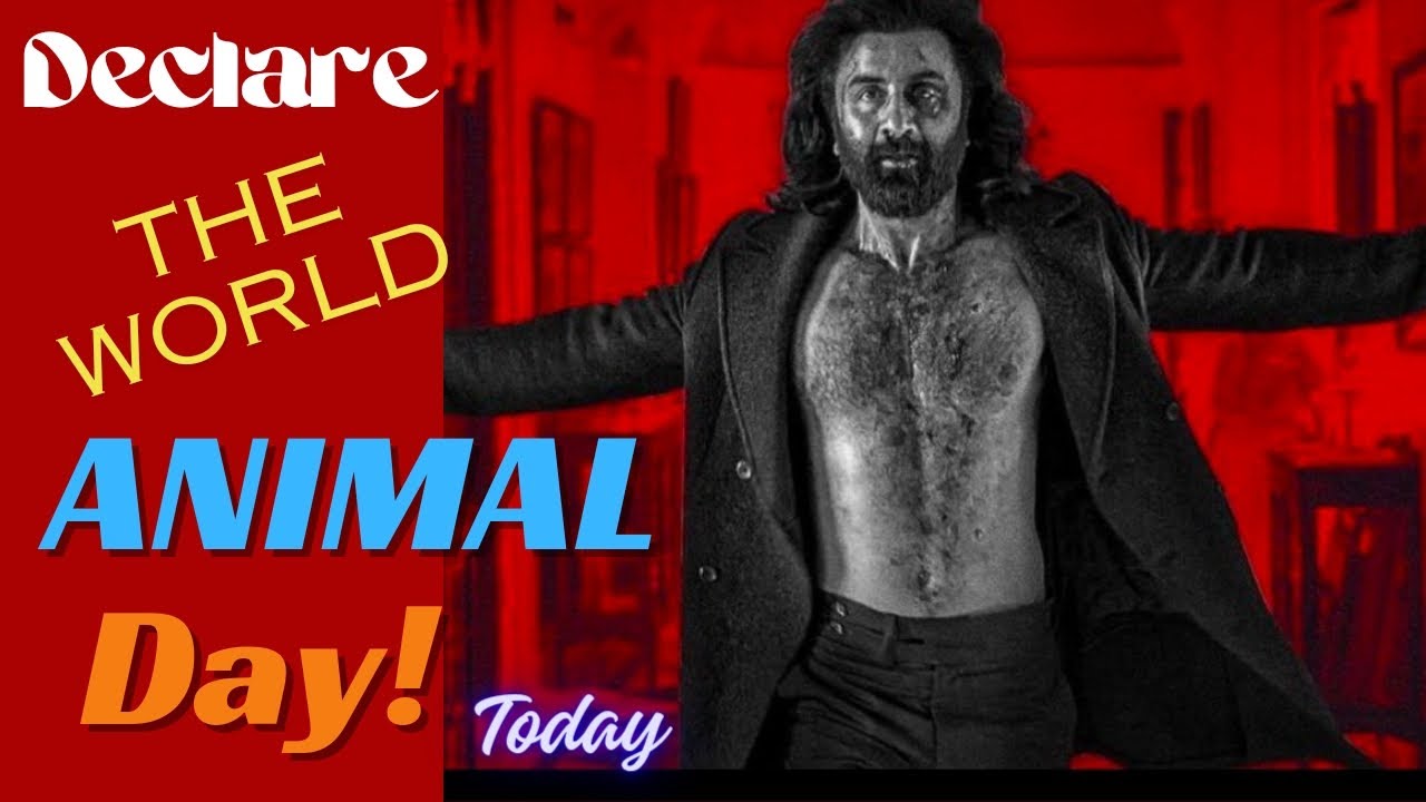 ANIMAL MOVIE REVIEW | ANIMAL FILM REVIEW | RANBIR KAPOOR | BOBBY DEOL ...