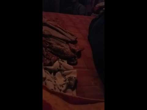 Bukang bibig si tanya (jay calapiz) moments