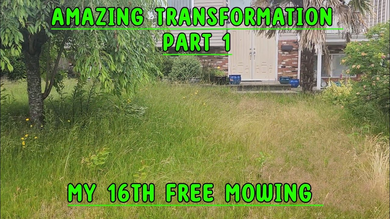I TRANSFORMED THIS NEGLECTED YARD,free makeover #lawnmowing #lawncare # ...